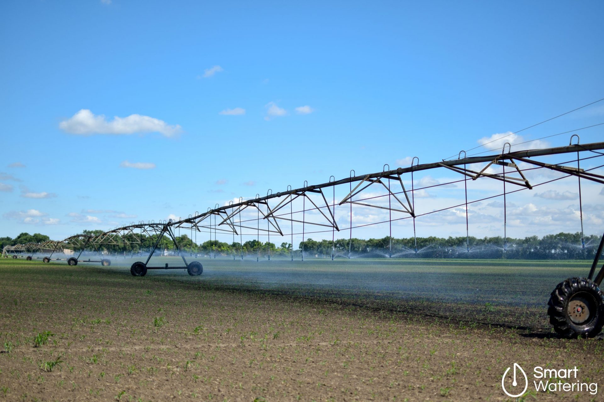 Kako odabrati pravi sistem za navodnjavanje | Smart Watering