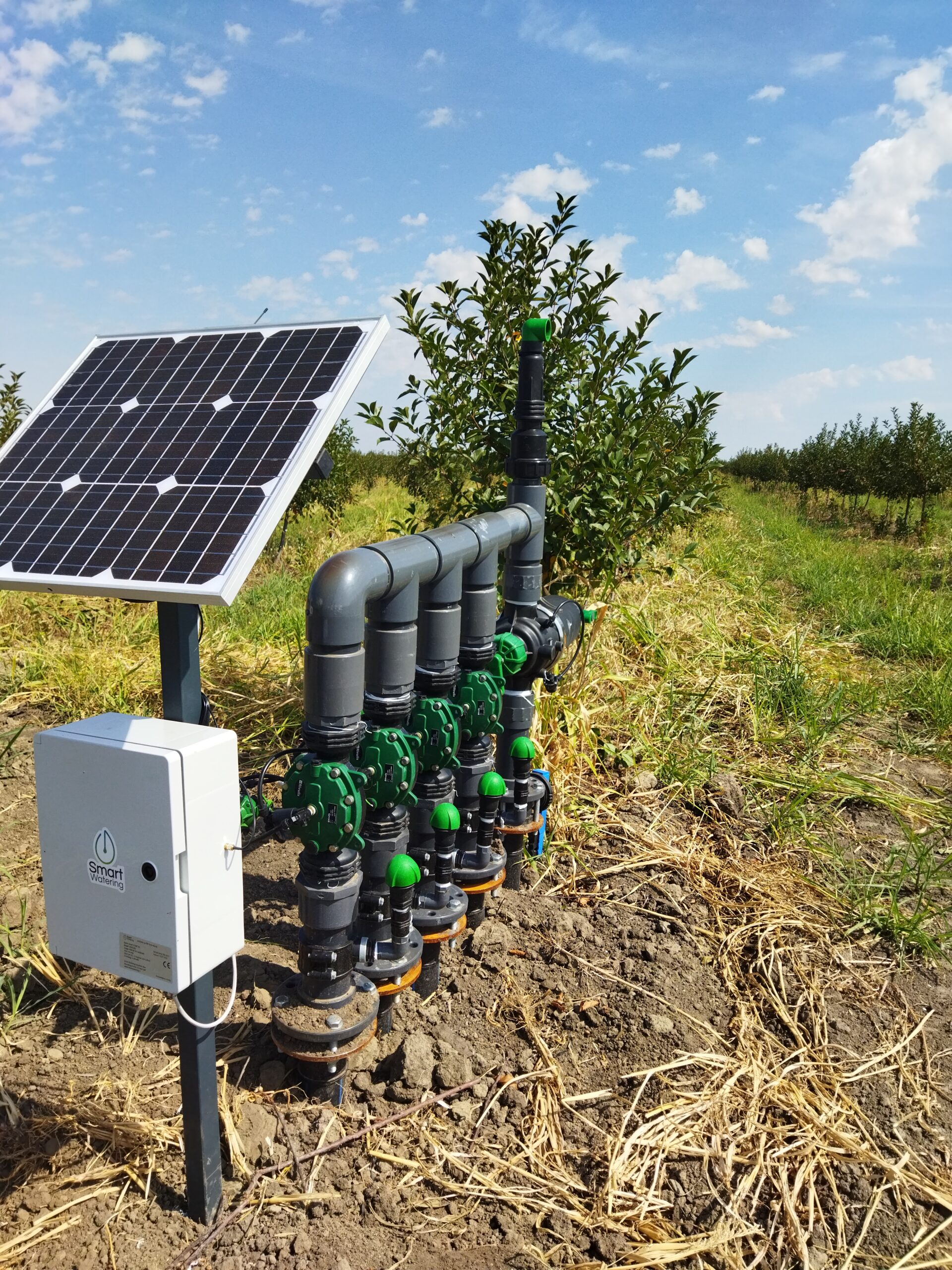 Višnja, Sečanj 136ha | Smart Watering sistemi za pametno navodnjavanje